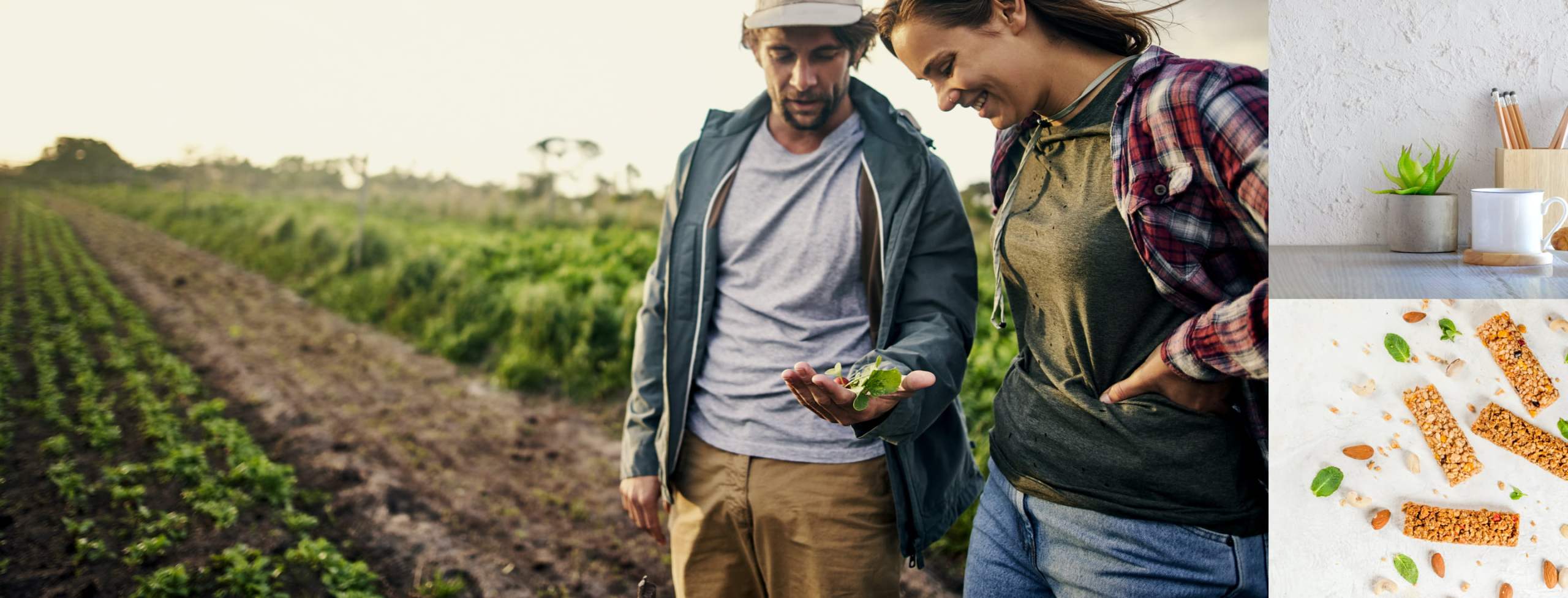 Our Sustainability Commitment | Woolworths at Work